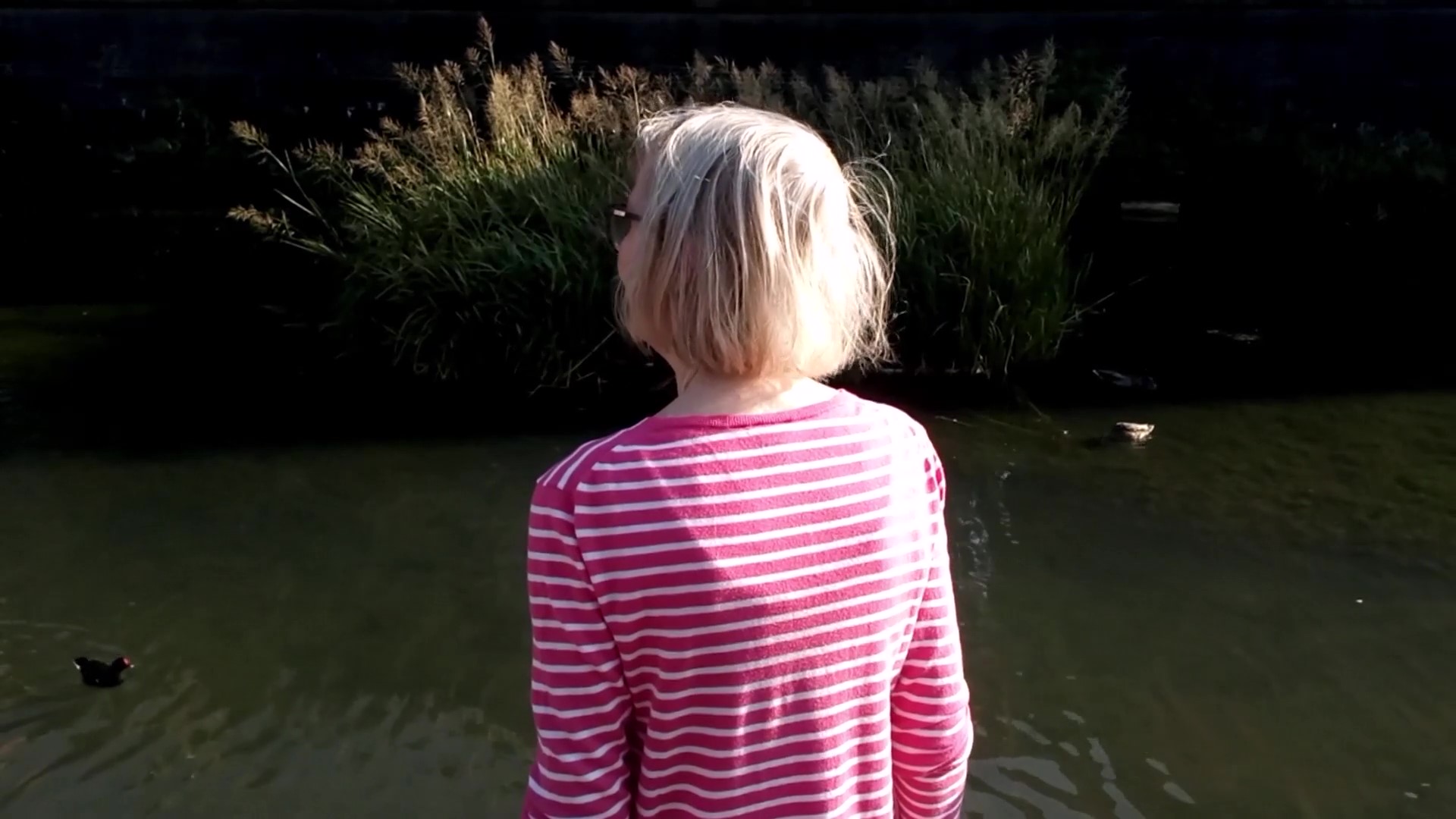 Review: Swaniful – FilmCarnage.com