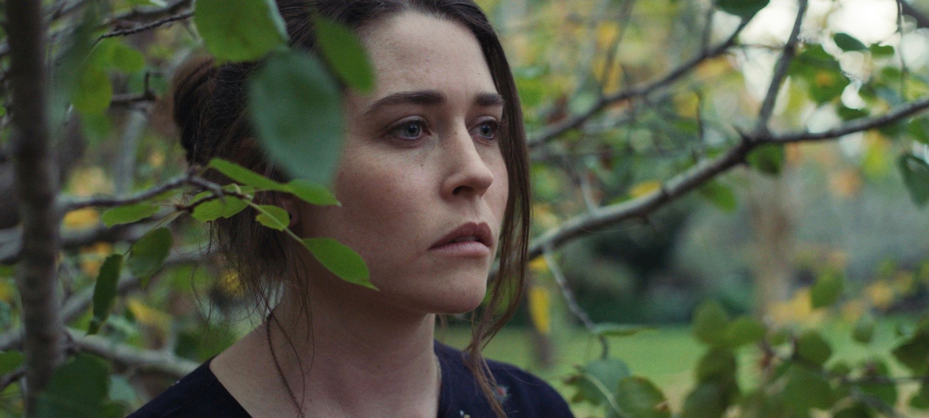 Review: The Greenhouse – FilmCarnage.com