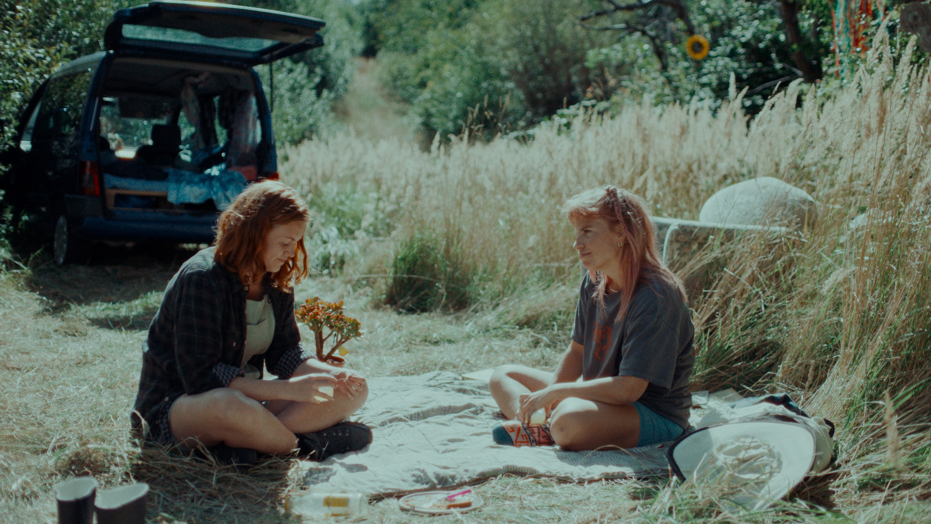 Review: The Venus Effect – FilmCarnage.com